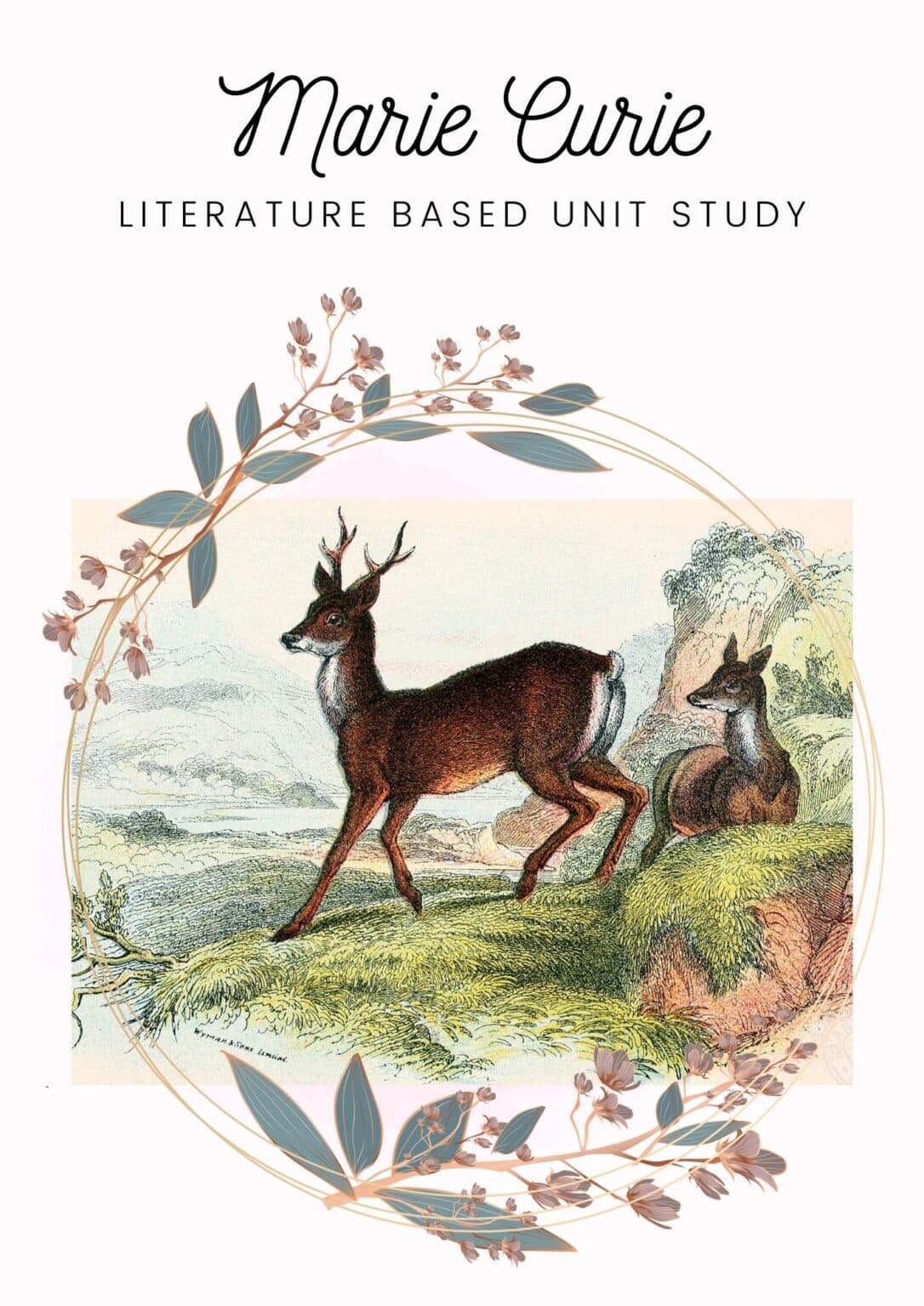 Alaska Unit Study Resources to Bring Learning to Life