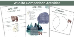 Explore Alaska Wildlife Without Leaving Your Home