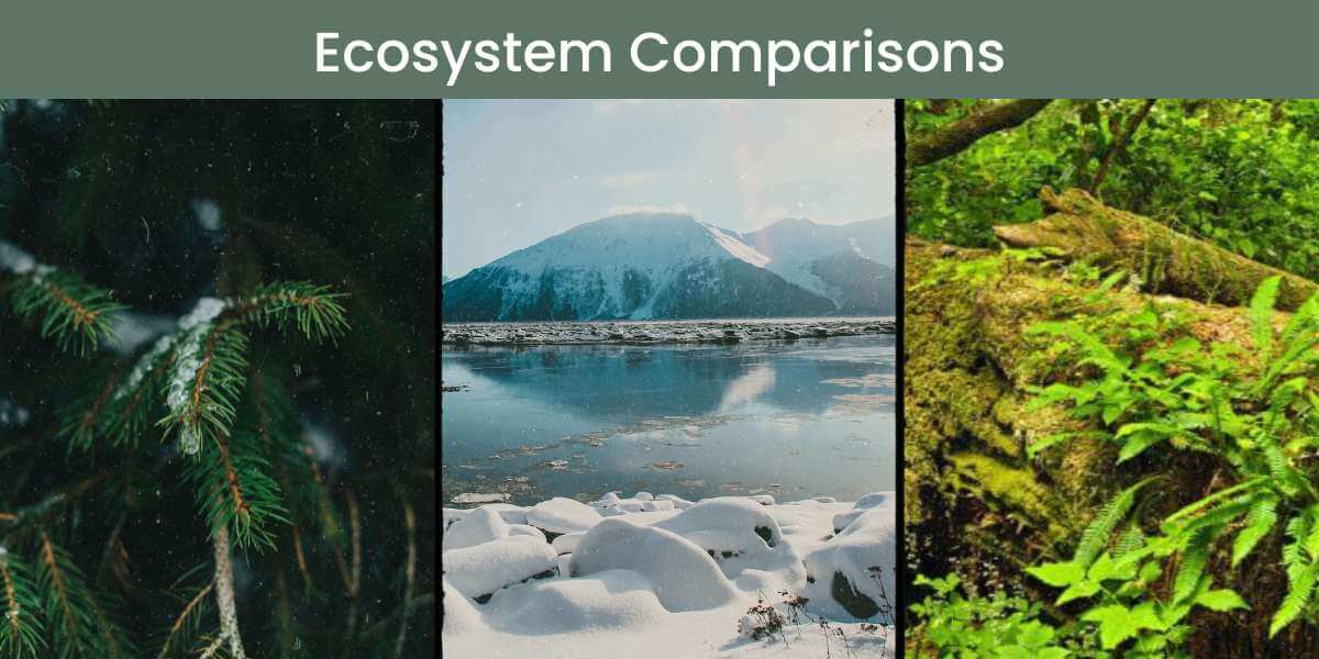 Rediscover Wonder: A K-3rd Alaska Unit Study