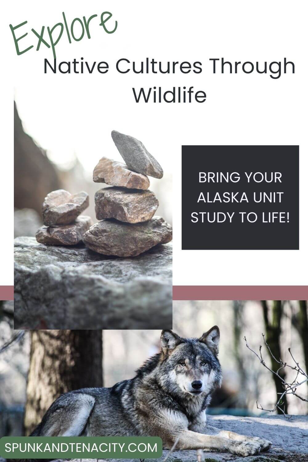 Explore Alaska Wildlife Without Leaving Your Home